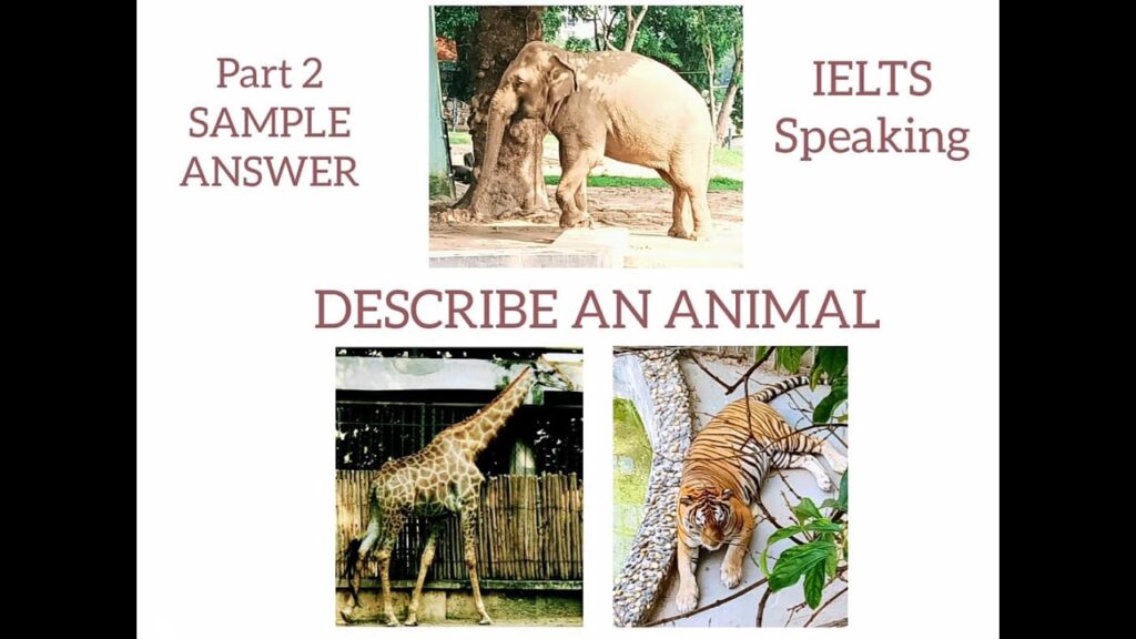 Bài mẫu IELTS Speaking Part 2, 3: Describe a wild animal